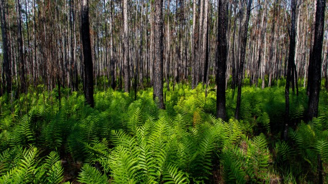 Our Natural Places | Exploring – Naturally