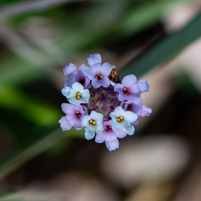 Our Natural Places | Exploring – Naturally